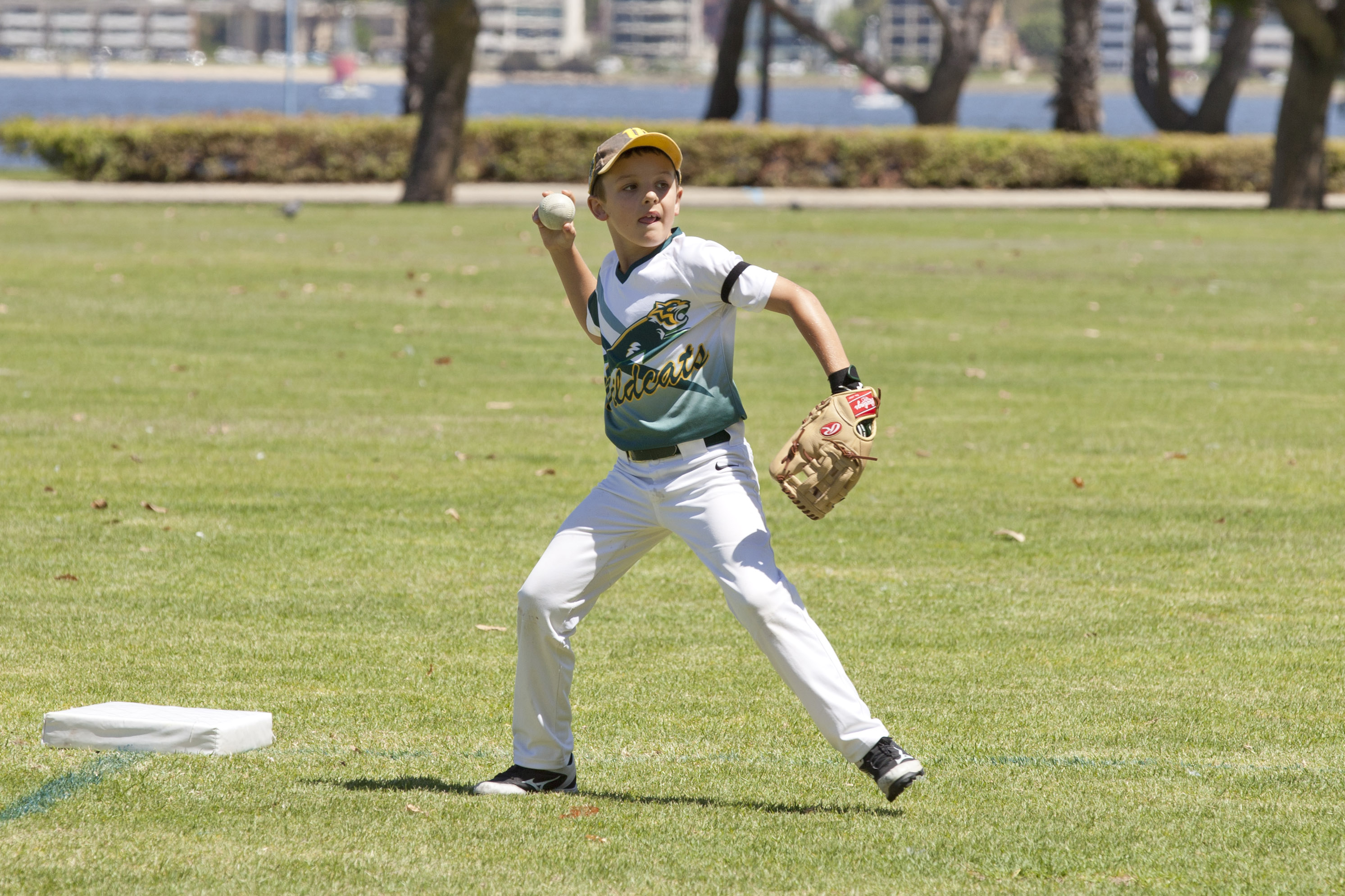 Gallery – Willetton Tee-ball