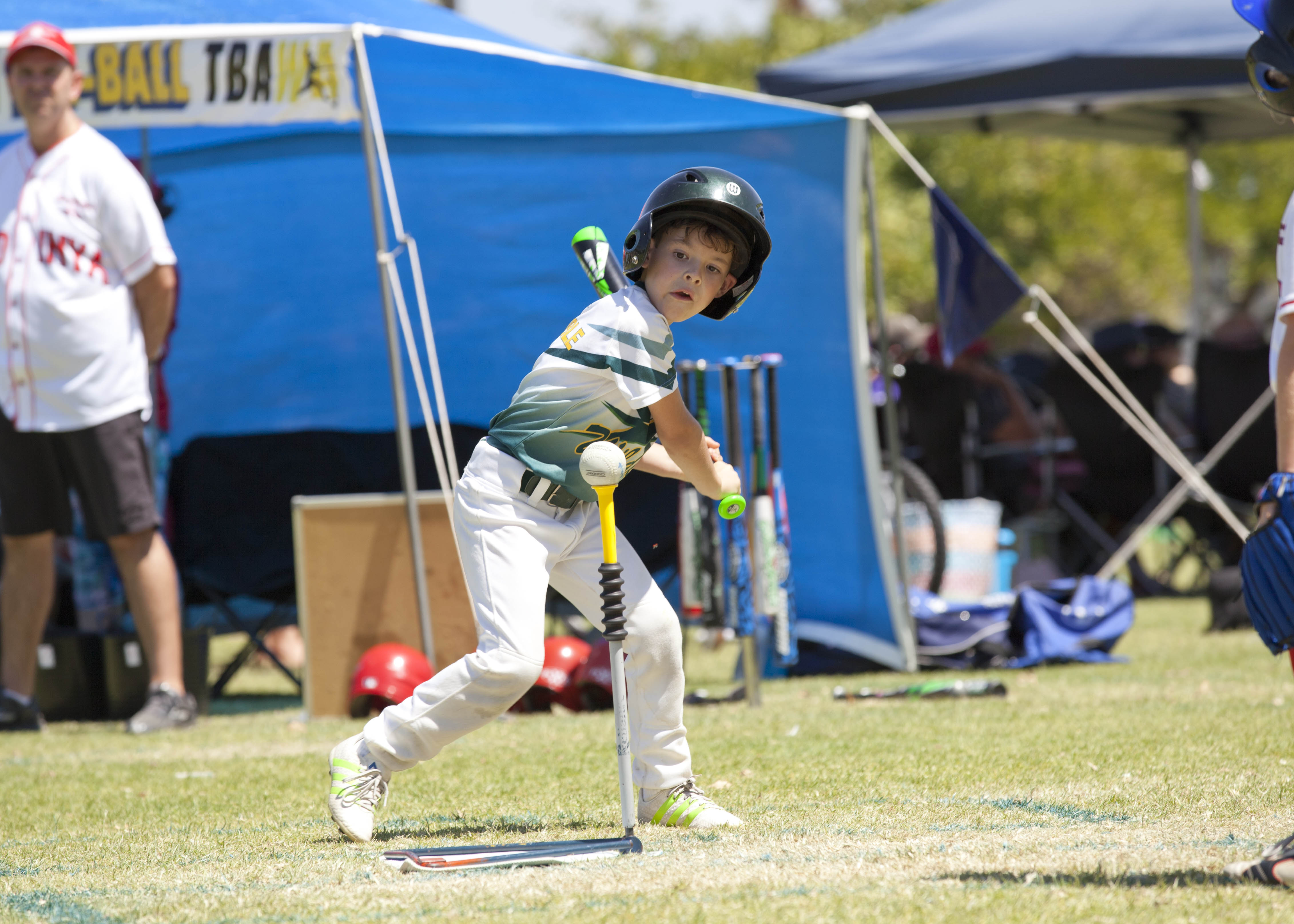 Gallery – Willetton Tee-ball