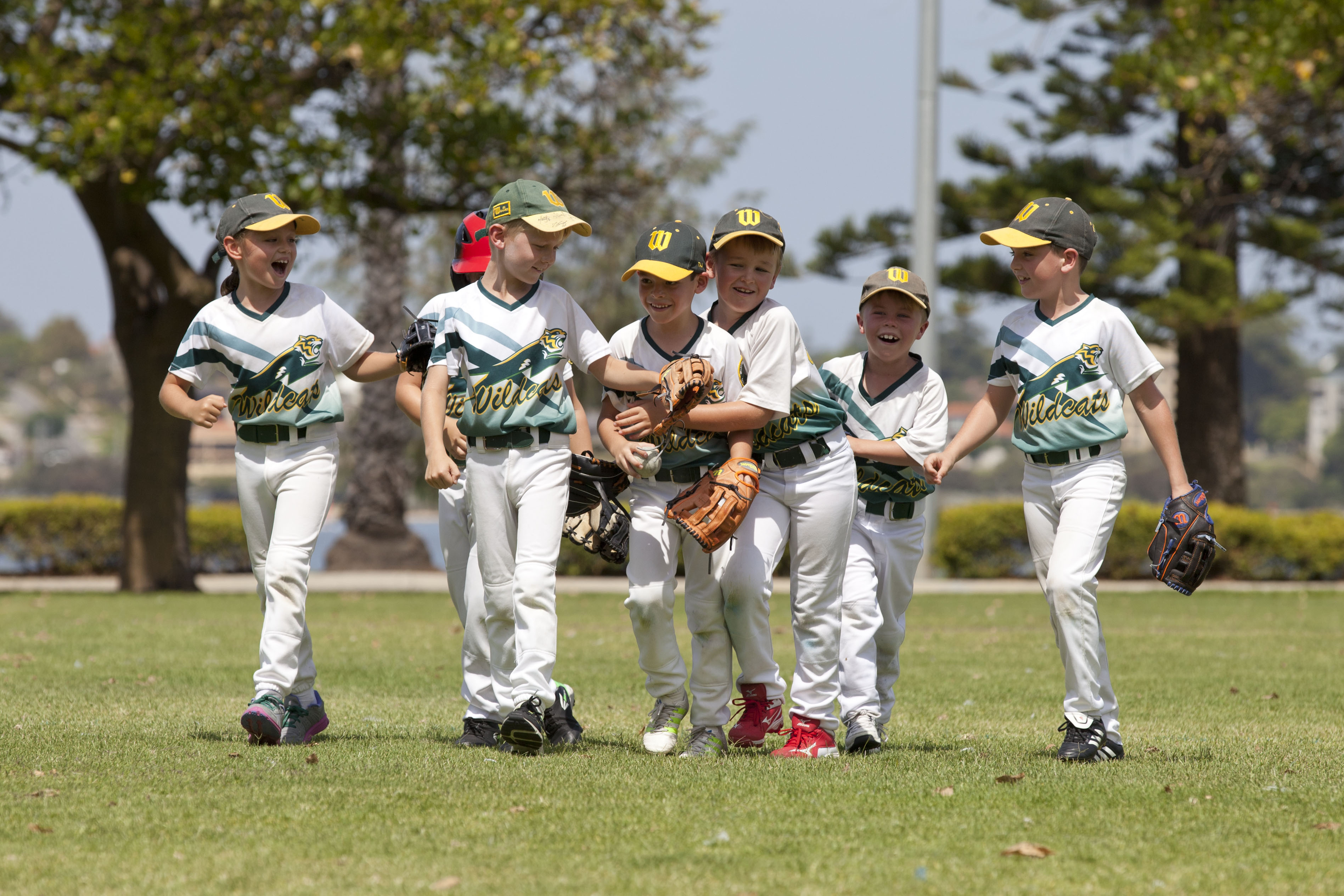 Gallery – Willetton Tee-ball